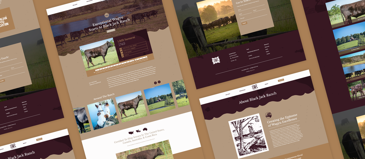 Client Stories | Eversite